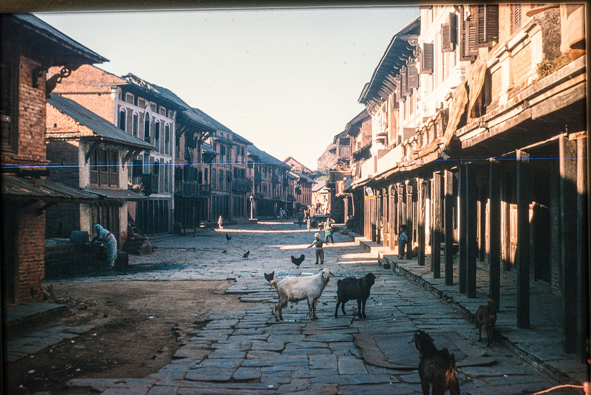 Bandipur – Bandipur Village Inn